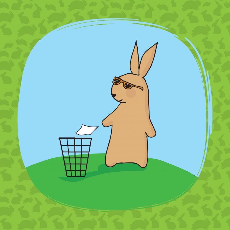 Viking Bunnies - Cudworth Bunny Trail